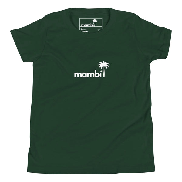 "Devon" Relaxed Fit Logo Tee | Big Kid & Teen – Mambí